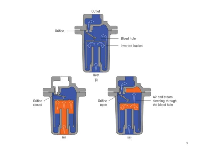 Steam traps and their types | PPTX | Physics | Science