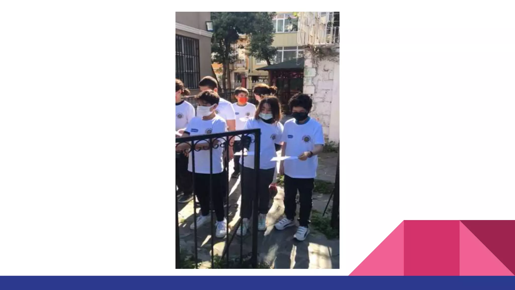 Steam week activities | PPTX