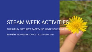 Steam week activities | PPTX