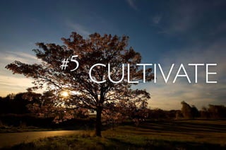 Stearns Slides01 | PDF