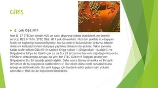 Shigatoksin (Şiga toksini) üreten E. Coli (Makale Özeti) | PPTX