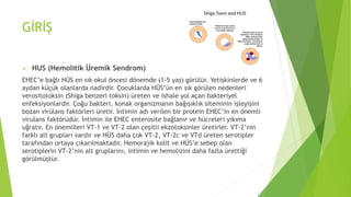 Shigatoksin (Şiga toksini) üreten E. Coli (Makale Özeti) | PPTX