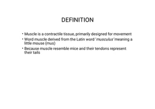 Stech muscle and types of muscles anatomy.pdf