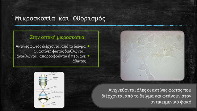 Sted microscopy | PPTX