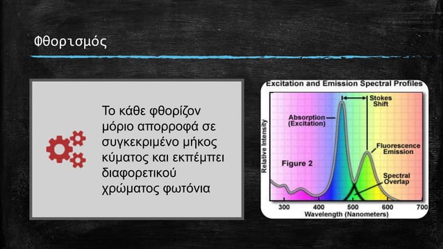 Sted microscopy | PPTX