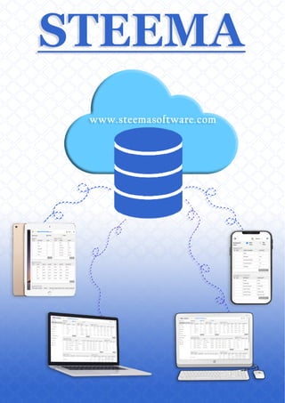 Steema Software Pvt. Ltd. Services | PDF