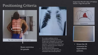 Kristen Steever PA Chest | PPTX