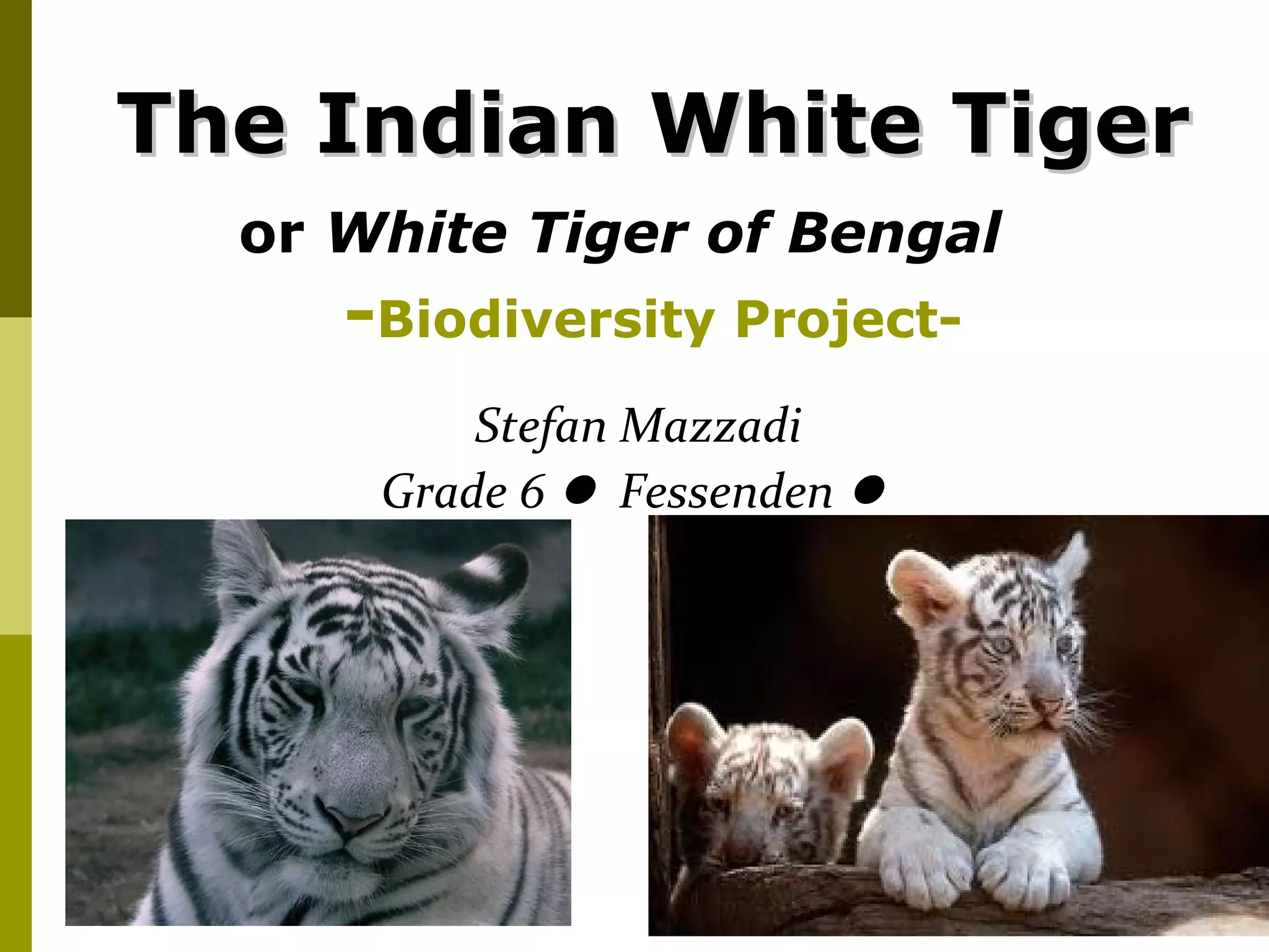 Stefan biodiversity slides ppt | PPT | Zoos & Aquariums | Attractions