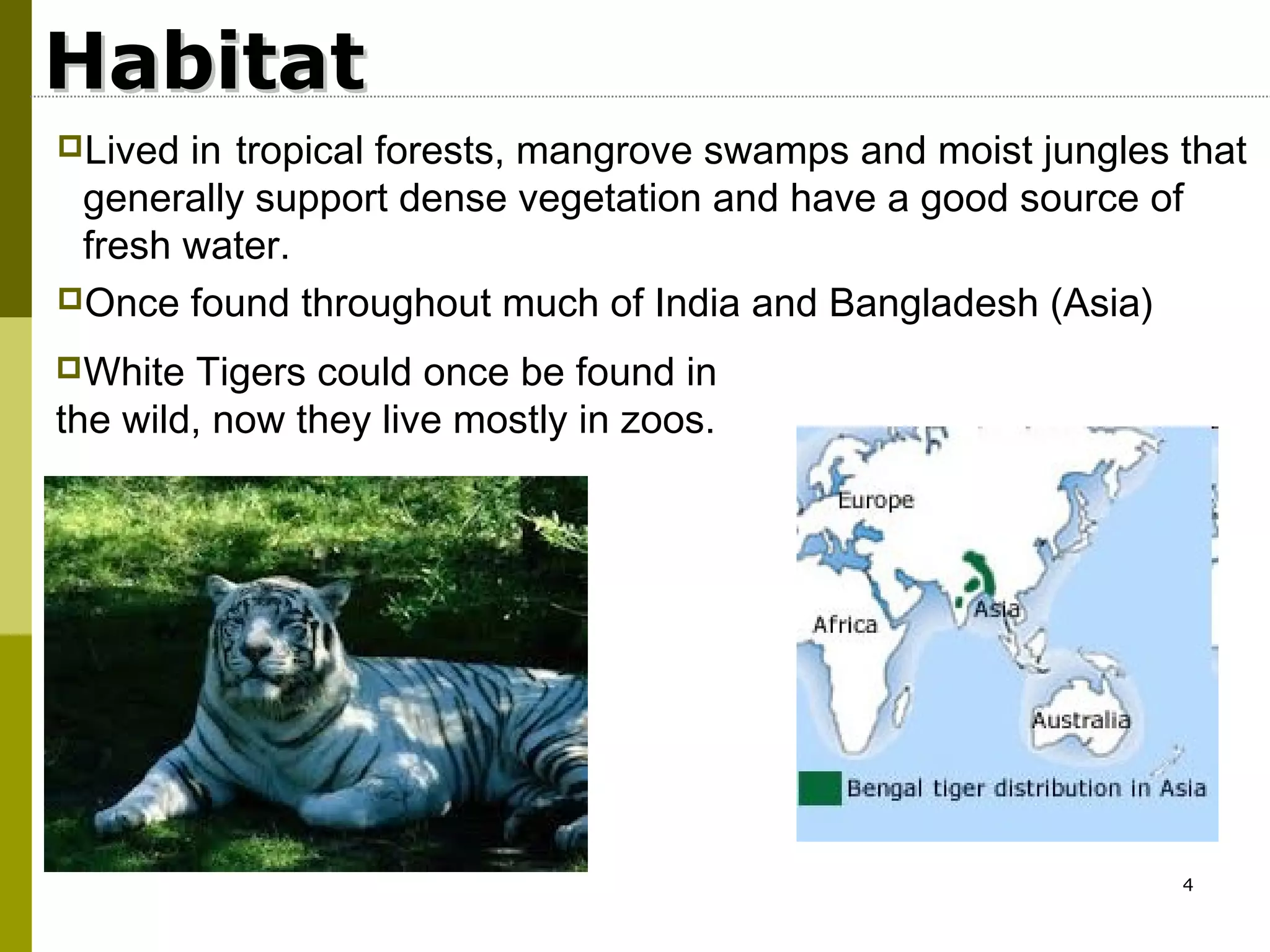 Stefan biodiversity slides ppt | PPT | Zoos & Aquariums | Attractions