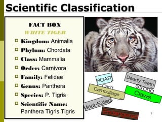Stefan biodiversity slides ppt | PPT
