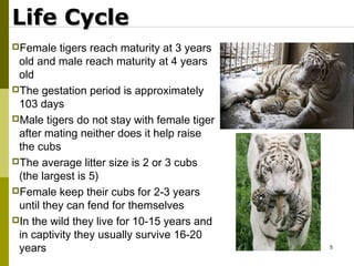 Stefan biodiversity slides ppt | PPT