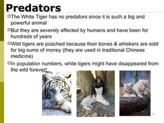 Stefan biodiversity slides ppt | PPT