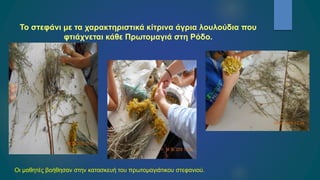 ΠΡΩΤΟΜΑΓΙΑΤΙΚΟ ΣΤΕΦΑΝΙ | PPTX