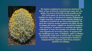 ΠΡΩΤΟΜΑΓΙΑΤΙΚΟ ΣΤΕΦΑΝΙ | PPTX