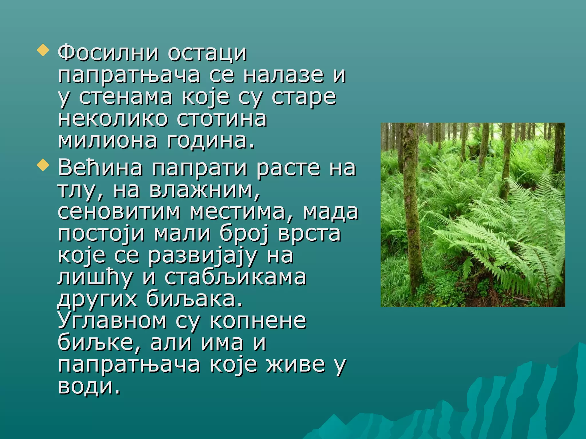 Stefan milovanovic ivan spasic | PPT