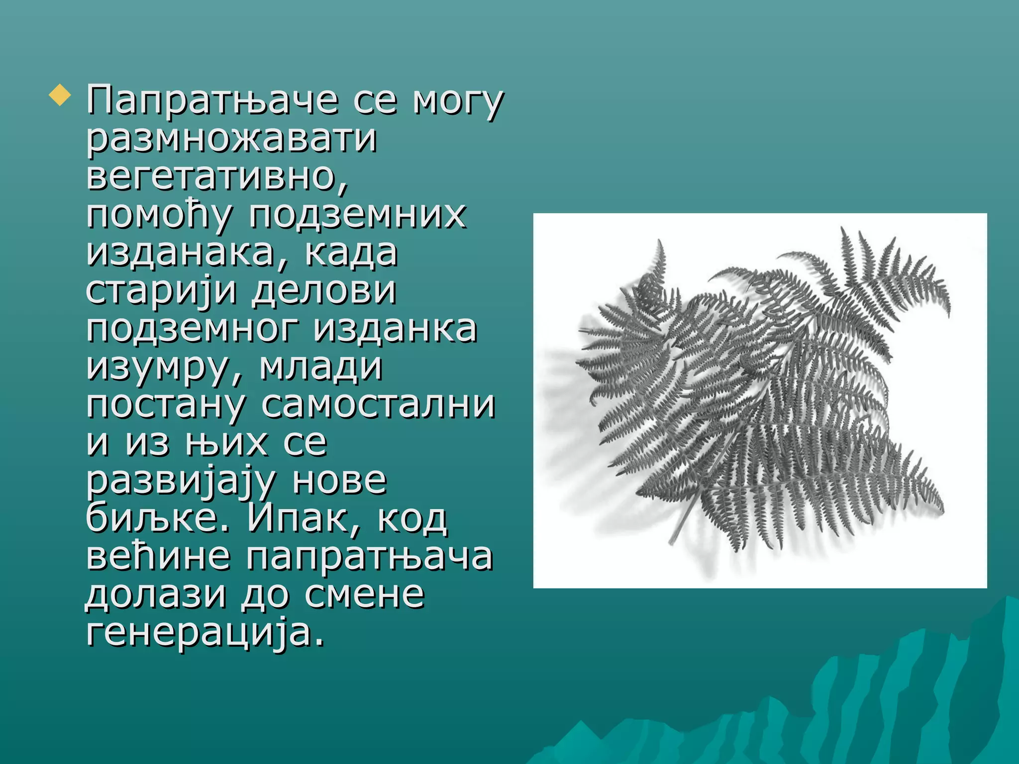 Stefan milovanovic ivan spasic | PPT