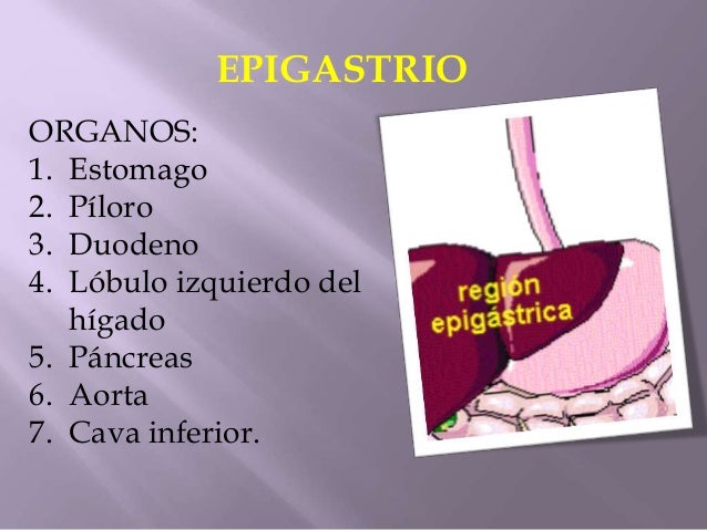 Topografia abdominal y peritoneo.