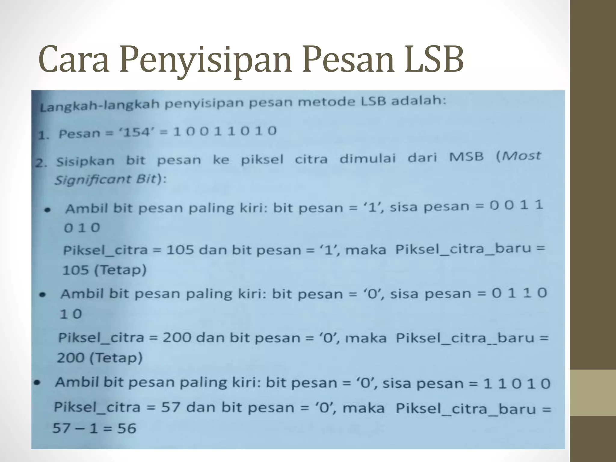 Stegano 2 (LSB( | PDF