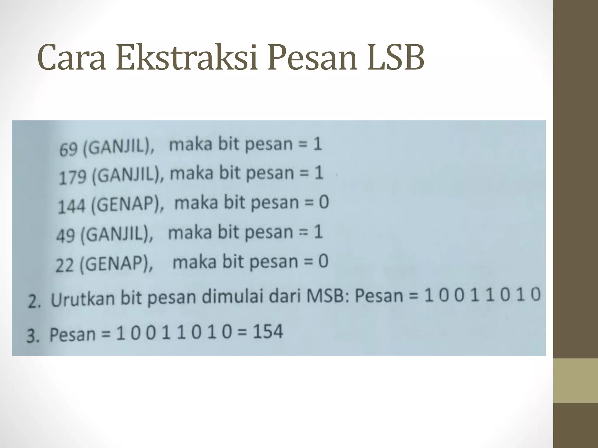 Stegano 2 (LSB( | PDF