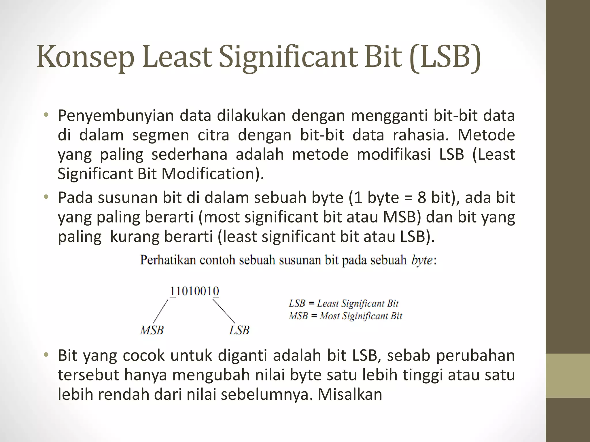 Stegano 2 (LSB( | PDF