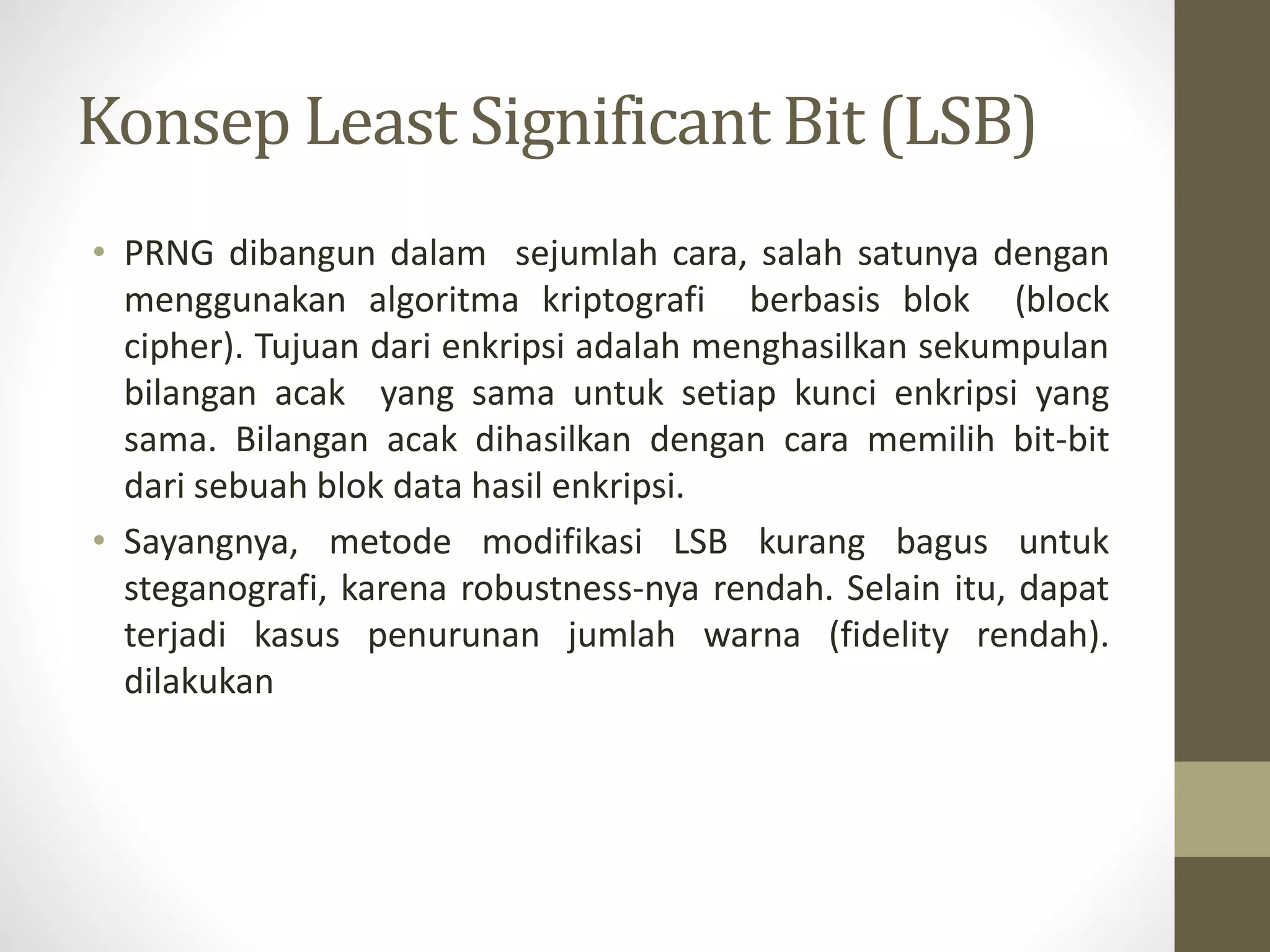 Stegano 2 (LSB( | PDF