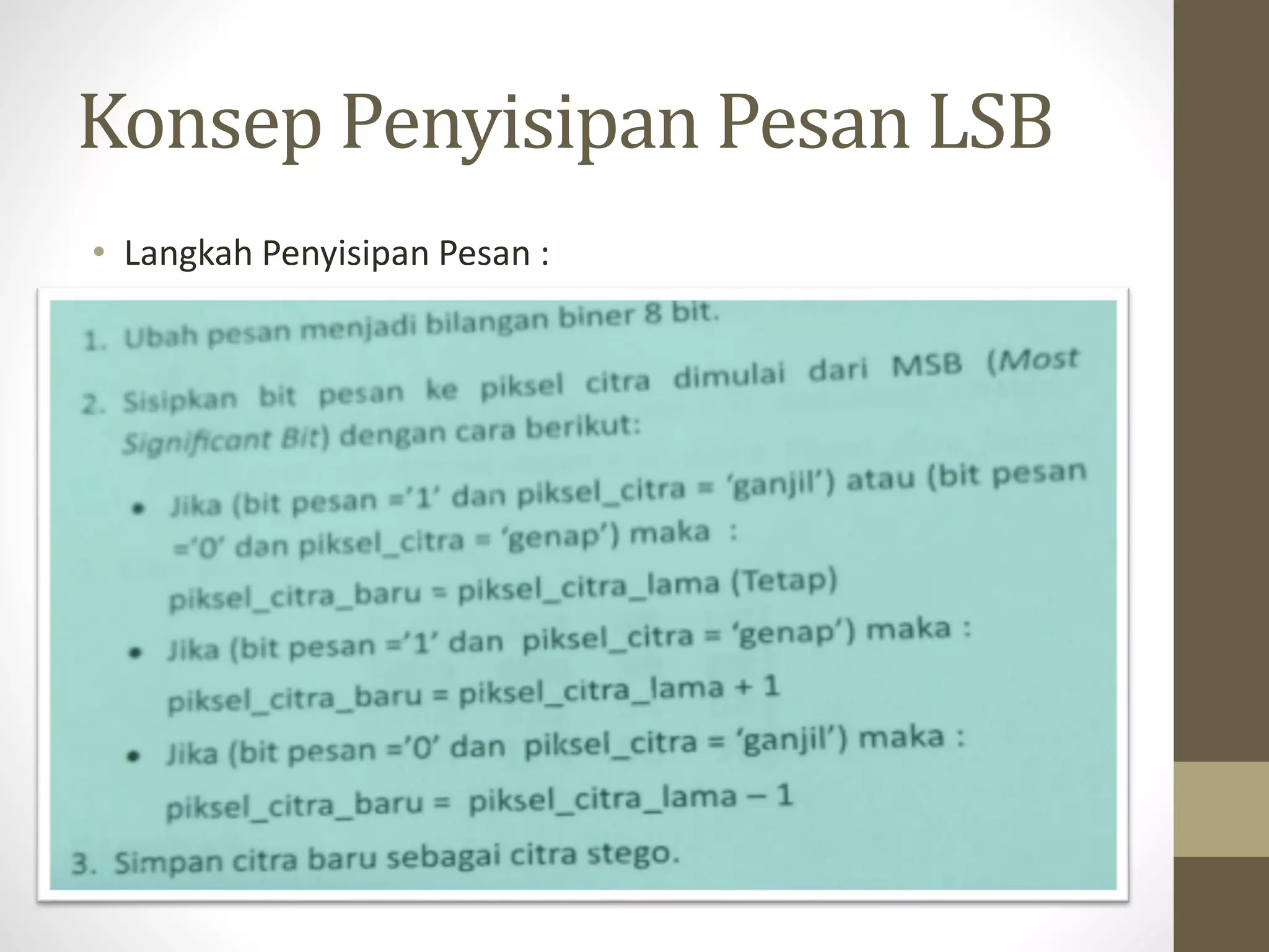 Stegano 2 (LSB( | PDF