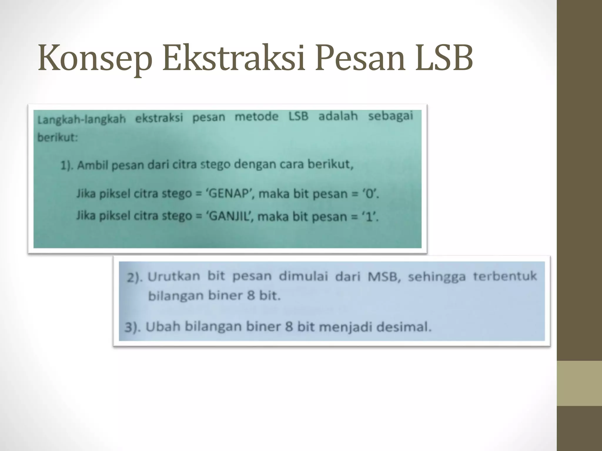 Stegano 2 (LSB( | PDF