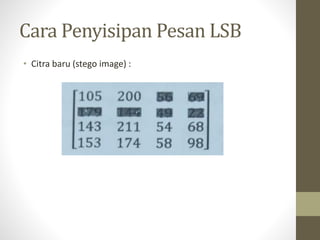 Stegano 2 (LSB( | PDF