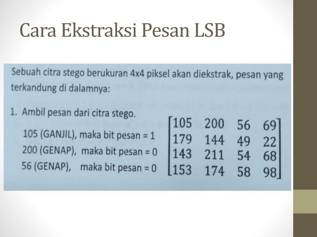 Stegano 2 (LSB( | PDF