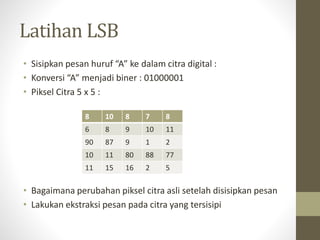 Stegano 2 (LSB( | PDF