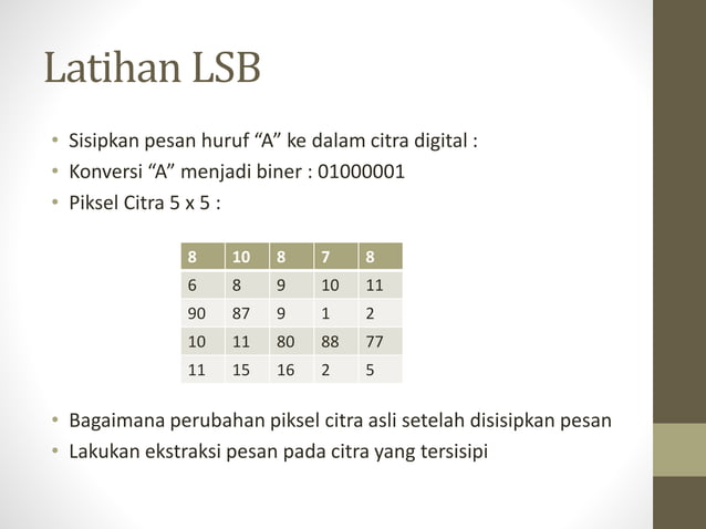 Stegano 2 (LSB( | PDF