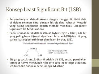 Stegano 2 (LSB( | PDF