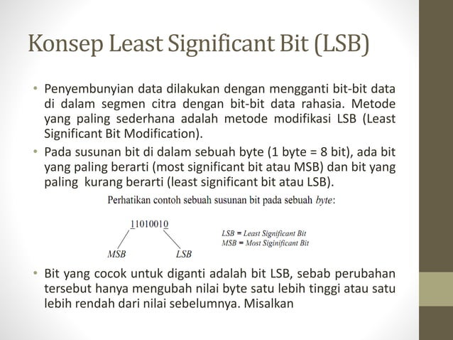 Stegano 2 (LSB( | PDF