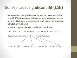 Stegano 2 (LSB( | PDF