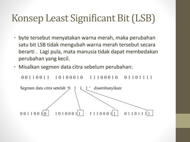 Stegano 2 (LSB( | PDF
