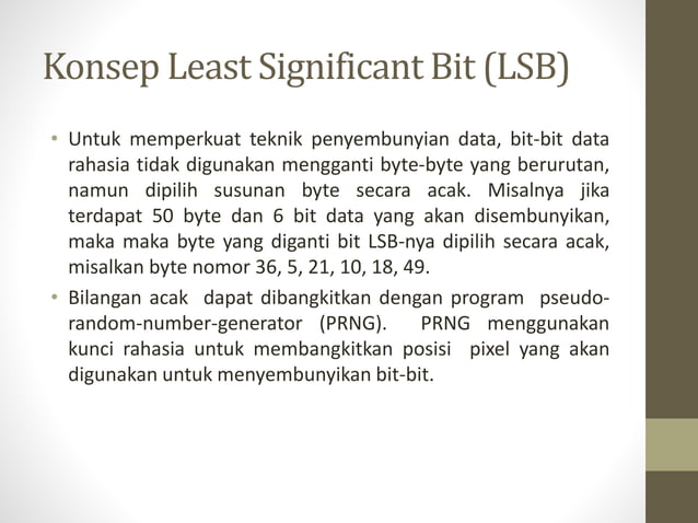 Stegano 2 (LSB( | PDF