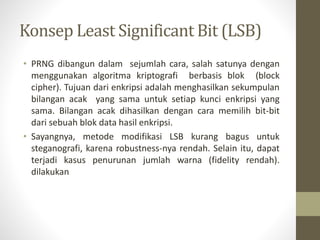 Stegano 2 (LSB( | PDF