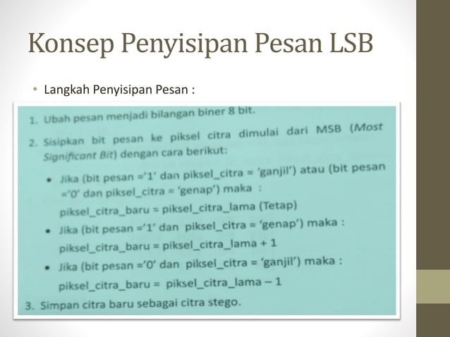 Stegano 2 (LSB( | PDF