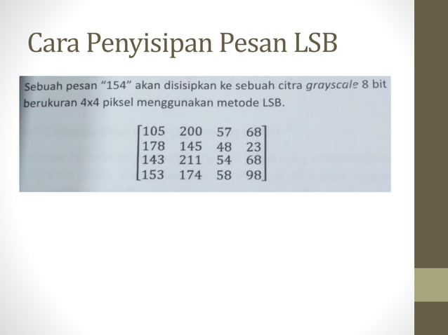 Stegano 2 (LSB( | PDF