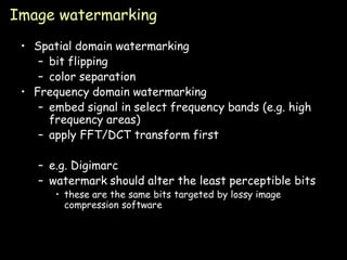 Steganography | PPT