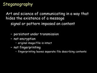Steganography | PDF | Computing | Technology & Computing