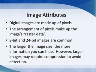 Steganography | PPT