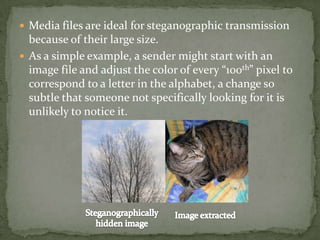 Steganography | PPT