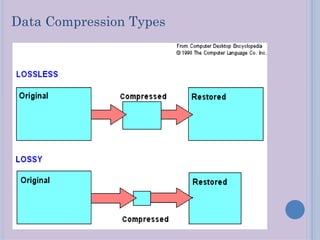 Steganography | PPT | Programming Languages | Computing