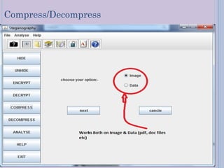 Steganography | PPT | Programming Languages | Computing