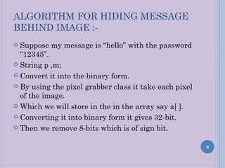 Steganography | PPT | Programming Languages | Computing