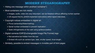 Steganography(Presentation) | PPTX