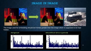 Steganography(Presentation) | PPTX