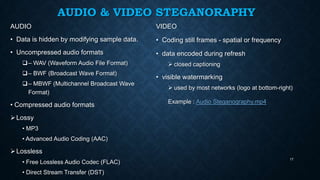 Steganography(Presentation) | PPTX