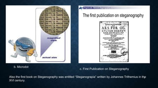 Steganography(Presentation) | PPTX